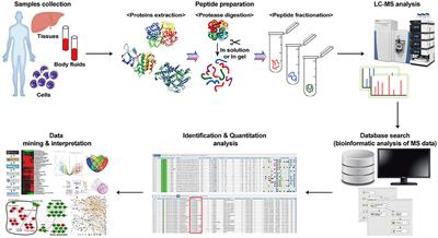 Frontiers | Application of Proteomics in Cancer: Recent Trends and Approaches for Biomarkers ...